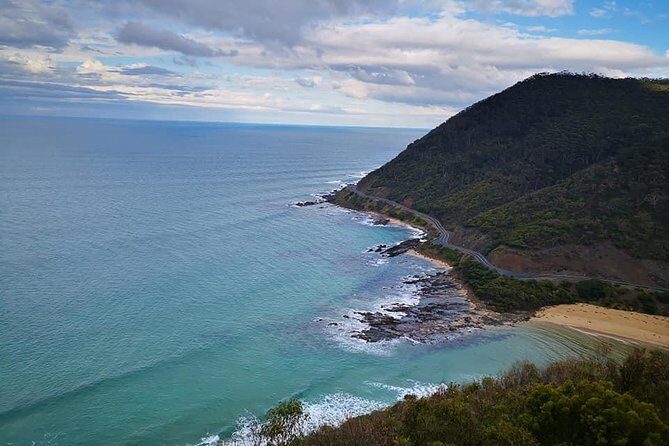 Great Ocean Road Medium Size Group Tour - Pricing and Value
