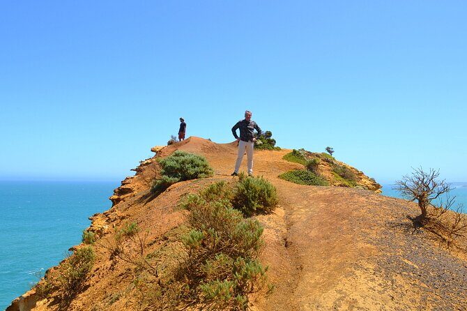 Great Ocean Road - Private Discovery Tour - What Makes This Tour Stand Out