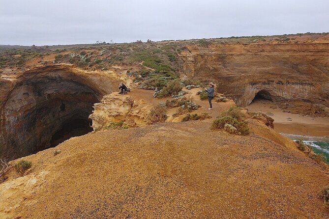 Great Ocean Road - Private Discovery Tour - The Sum Up