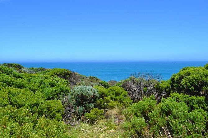 Great Ocean Road - Private Discovery Tour - FAQ