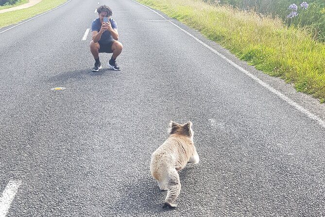 Great Ocean Road - Private Express Tour - Key Points