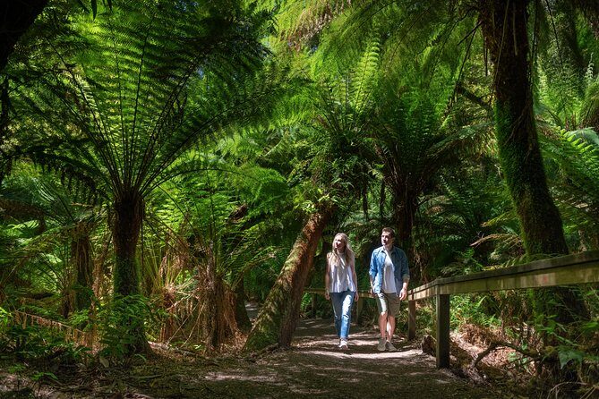 Great Ocean Road Private Tour - Authentic Experiences and Practical Insights