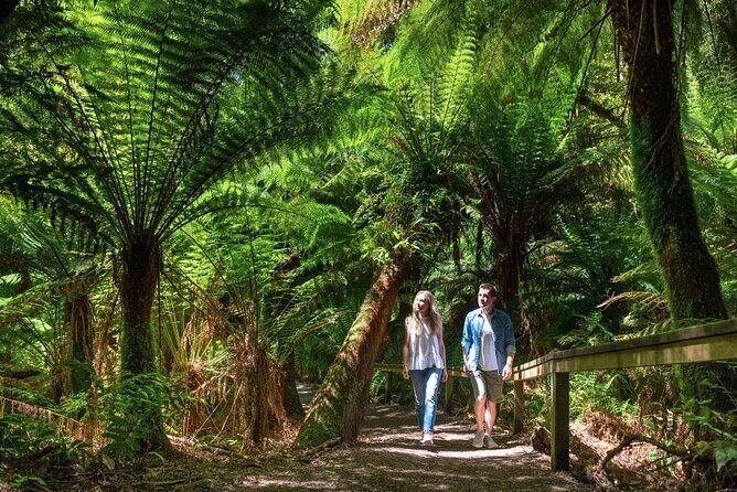 Great Ocean Road Small-Group Eco Tour from Melbourne - The Sum Up