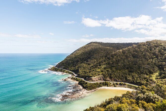 Great Ocean Road Small Group Tour with Dingos, Sparkling & Lunch - Who Will Appreciate This Tour?
