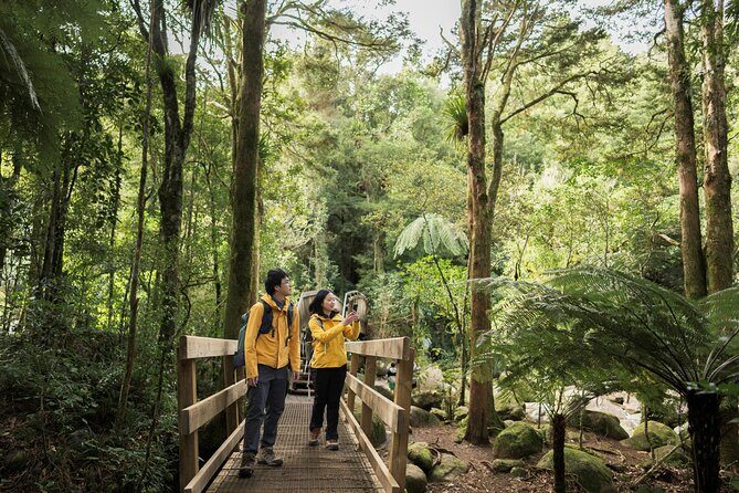 Great Ocean Road Sunset Tour - Immersive Experiences in Nature and History