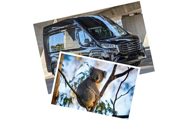 Great Ocean Road Sunset Tour - Returning Journey and Final Stop in Colac