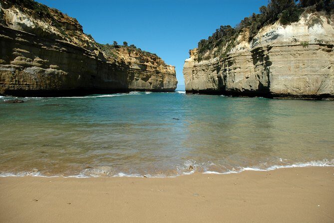 Great Ocean Road Tour Plus Koalas, Forest Walk and Morning Tea - The Itinerary in Detail: What to Expect