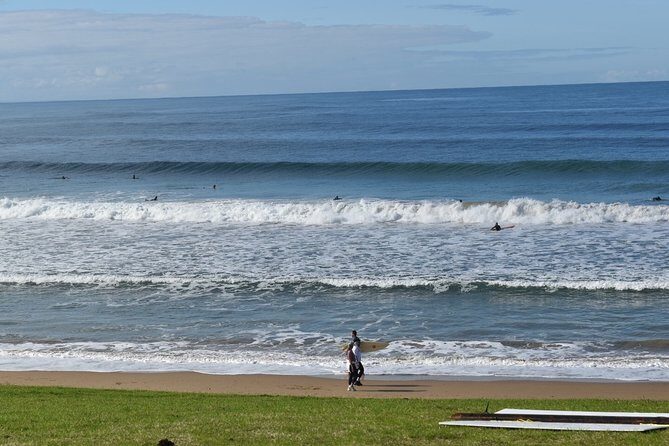 Great Ocean Road Tour Plus Koalas, Forest Walk and Morning Tea - Who’s This Tour Best For?