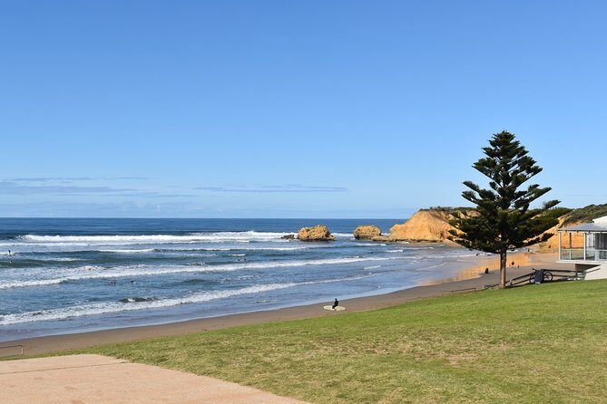 Great Ocean Road Tour Plus Koalas, Forest Walk and Morning Tea - FAQs