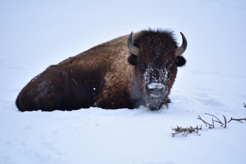 Great Plains Zoo - The Sum Up: Why Visit the Great Plains Zoo?