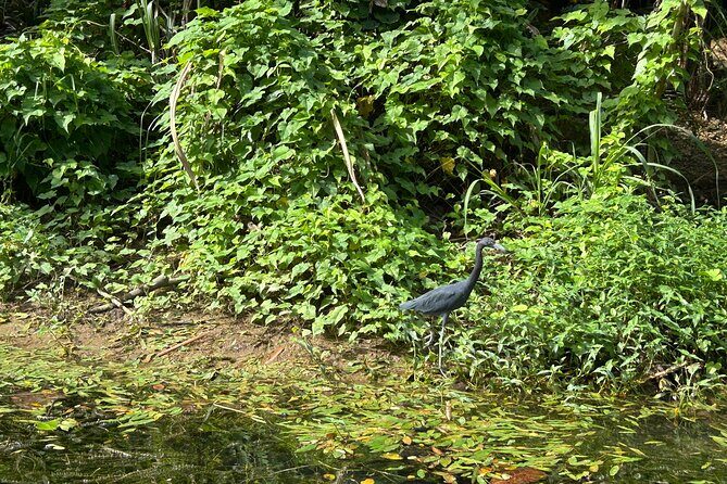 Great River Bamboo Rafting Adventure with Shopping - Frequently Asked Questions