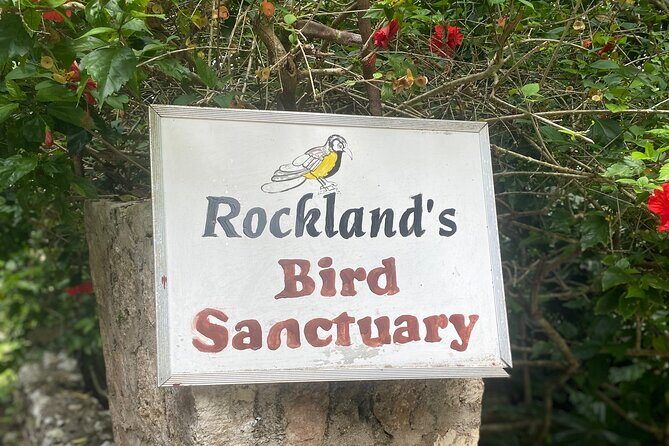 Great River Bamboo Rafting and Bird Sanctuary Combine Tour From Montego Bay - FAQ