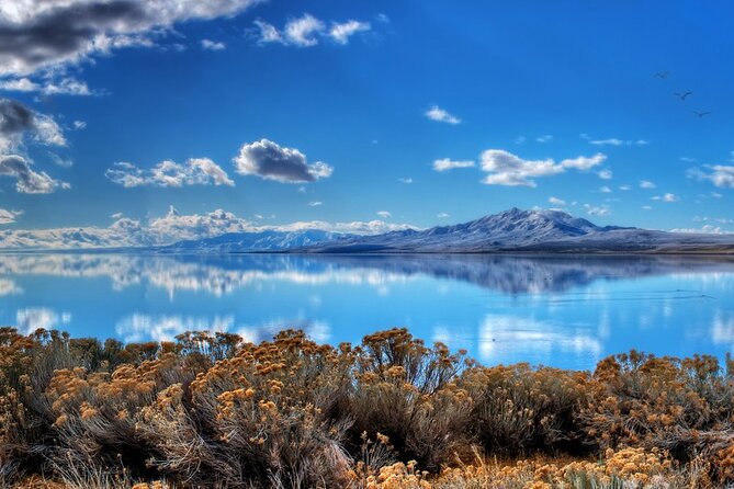 Great Salt Lake and Antelope Island Day Tour - Itinerary Highlights