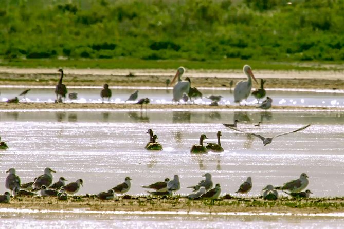 Great Salt Lake Guided Bus Tour from Salt Lake City - What’s Included and How the Tour Works