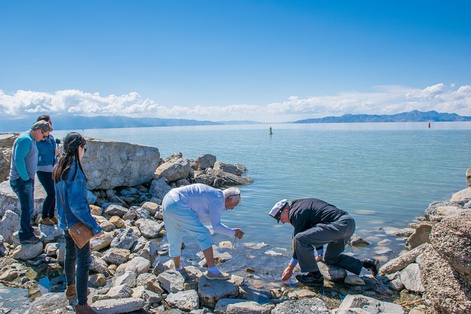 Great Salt Lake Guided Bus Tour from Salt Lake City - What Travelers Say: Authentic Perspectives