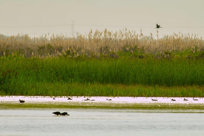 Great Salt Lake Guided Bus Tour from Salt Lake City - The Price and Value