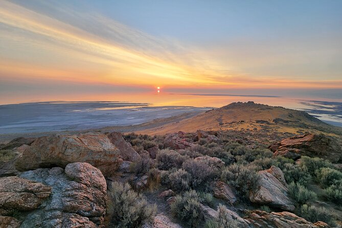 Great Salt Lake Wildlife Experience - The Value and Overall Experience