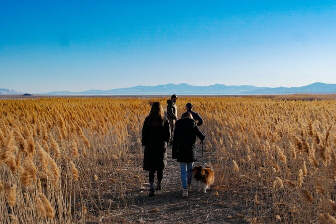 Great Salt Lake Wildlife Experience - Final Thoughts