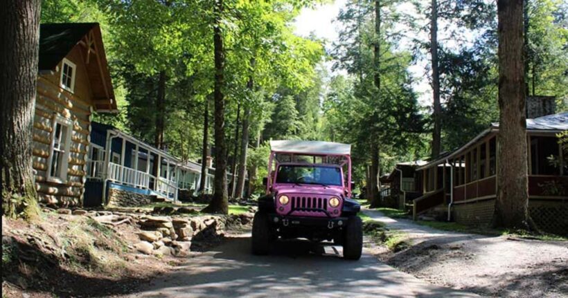 Great Smoky Mountains: Elkmont Historic District Tour - Starting Point and Transportation