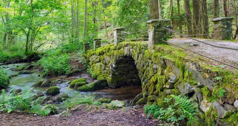 Great Smoky Mountains: Elkmont Historic District Tour - The Scenic Drive and Overlooks
