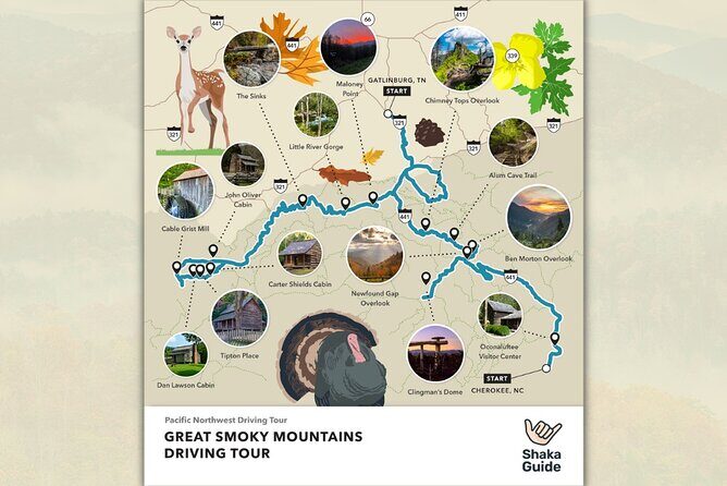 Great Smoky Mountains National Park Self-Guided Audio Tour - An In-Depth Look at the Tour Itinerary