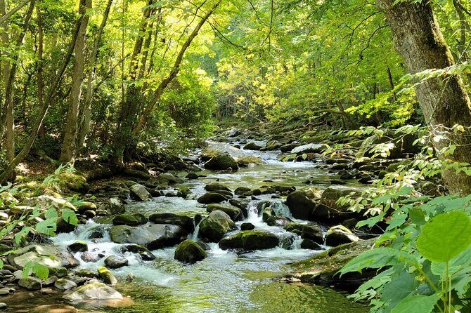 Great Smoky Mountains National Park Self-Guided Audio Tour - Who Will Benefit Most from This Tour?