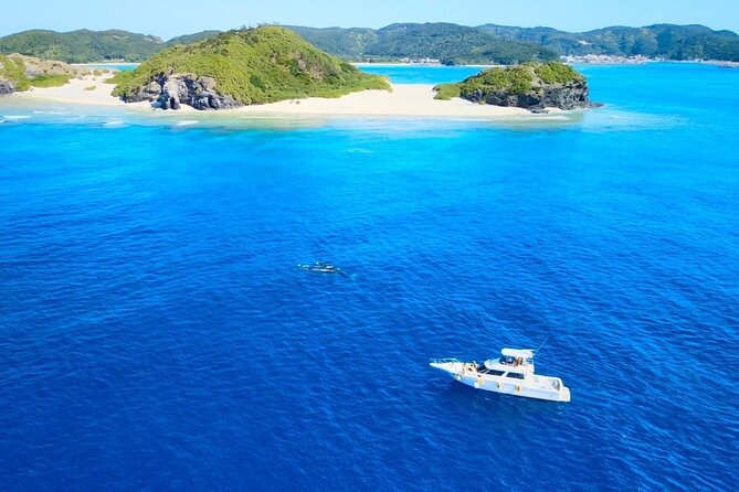 Great Whale Watching at Kerama Islands and Zamami Island - Pricing and Inclusions