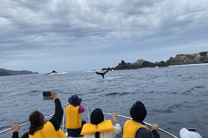 Great Whale Watching at Kerama Islands and Zamami Island - Tour Schedule and Duration