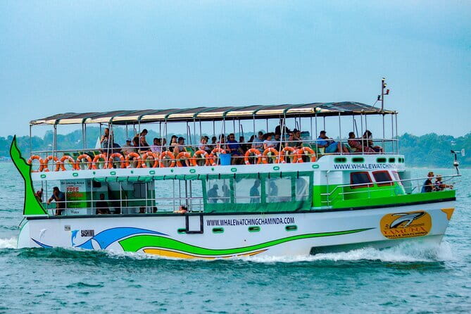 Great Whales Education Programe Dolphins and Whales are in SL - FAQs