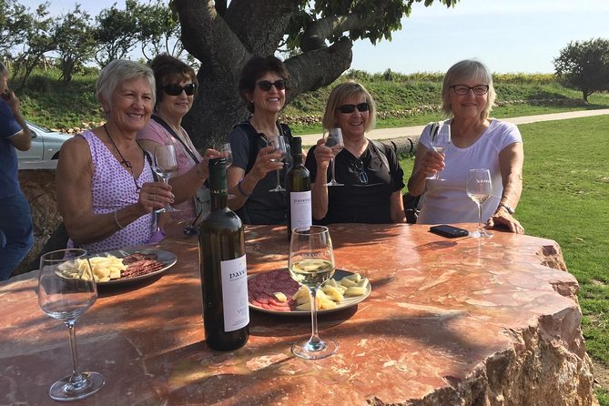 Great Wine Tour in Small Carpathian Hills - Who Will Love This Tour?