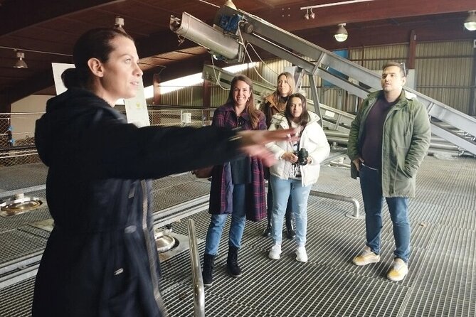 Greece Wine Roads: Athens, Nemea and Santorini - Who Will Love This Tour?