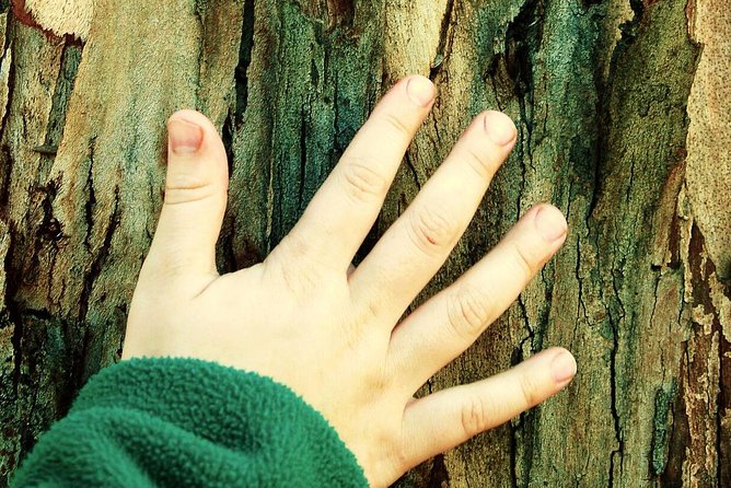 Greek Mythology Treasure Hunt for Kids - Athens Private Tour - Interactive Activities for Kids