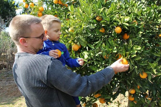 Green Canyon Combo Mix Tour by cabrio bus - What’s Included and What’s Not