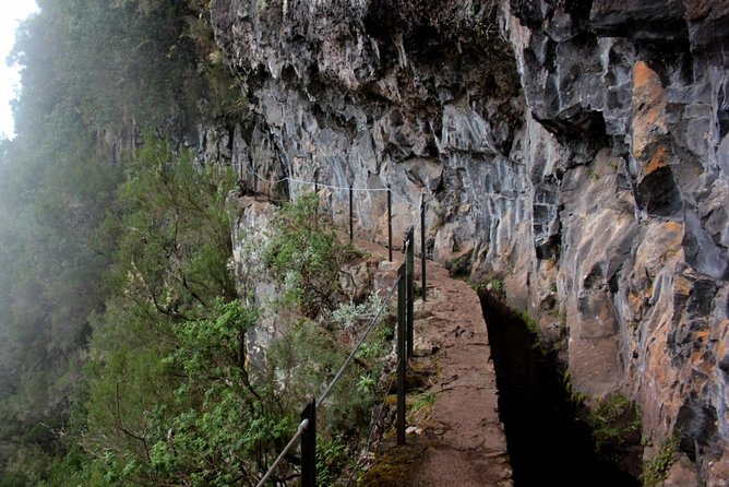 Green Cauldron - Key Points