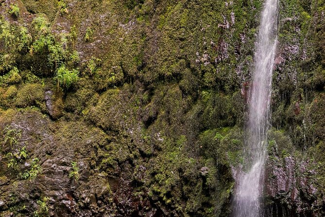 Green Cauldron Levadas Walk in Madeira - Inclusions and What to Bring