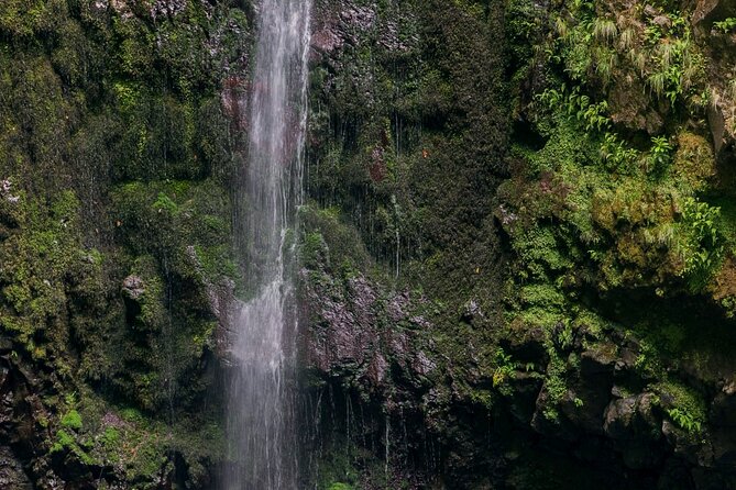 Green Cauldron Levadas Walk in Madeira - Exploring Madeiras Natural Beauty