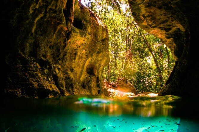 Green Grato Caves and Dunns River Falls with Private Transfer - Key Points