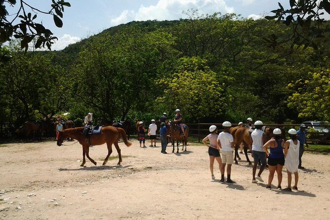 Green Grotto Caves Horseback Riding Adventure from Montego Bay - Key Points