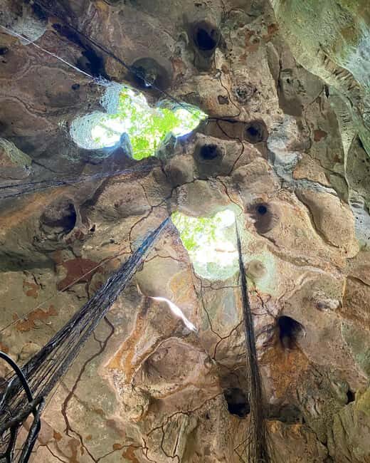 Green Grotto Caves Tour and Transportation - What to Expect from the Green Grotto Caves Tour