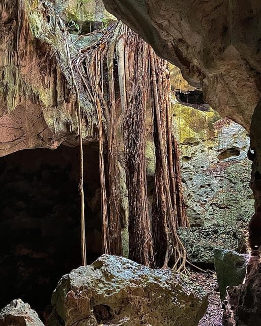 Green Grotto Caves Tour and Transportation - Who Should Consider This Tour?