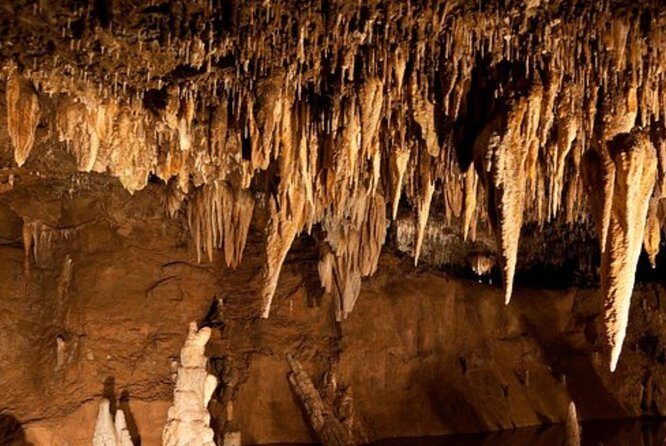 Green Grotto Caves Tour From Ocho Rios - FAQ: Common Questions About the Green Grotto Caves Tour