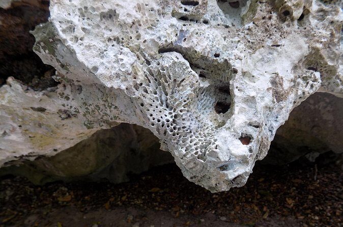 Green Grotto Excursion from Negril - Who Will Enjoy This Tour?