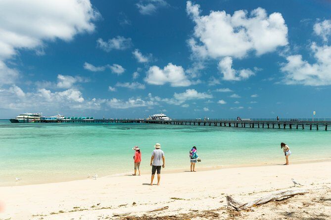 Green Island Day Trip from Cairns - The Island Experience: What Visitors Say