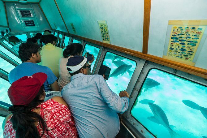Green Island Day Trip from Cairns - Practical Tips for Your Trip