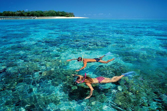 Green Island Day Trip from Cairns with Beaches Transfers - Authentic Experiences & Honest Feedback