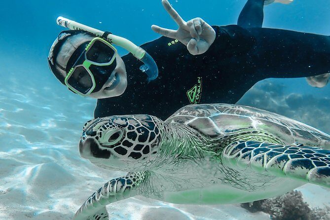 Green Island Day Trip from Cairns with Beaches Transfers - Who Will Love This Tour?
