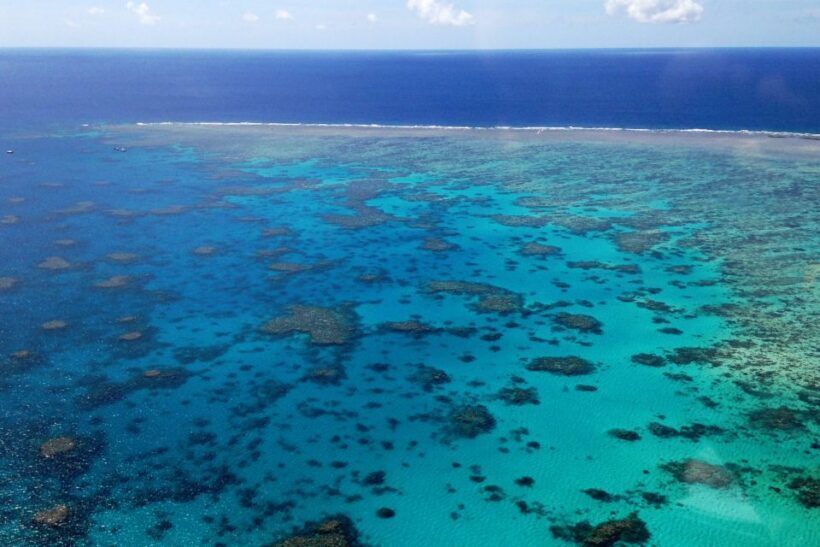Green Island Fly & Cruise Package - The Itinerary: A Step-by-Step Breakdown