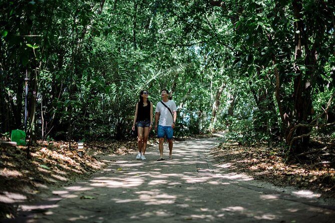 Green Island Full Day Trip from Cairns with City Transfers - Who This Tour Is Best For