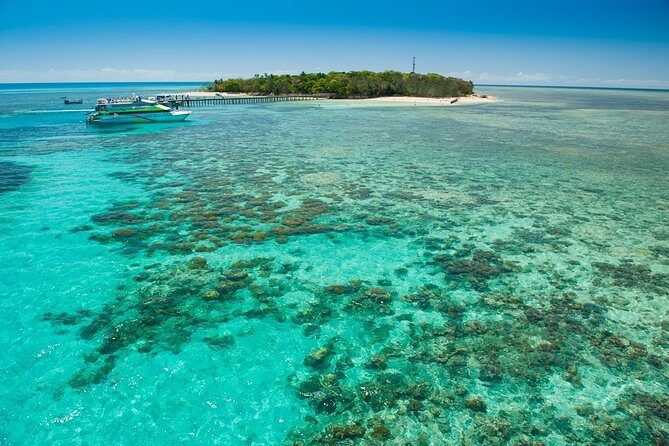 Green Island Half-Day Trip from Cairns - Who Will Love This Tour?