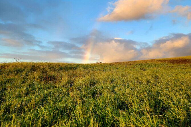 Green Sands Adventure ATV Ride - The Sum Up: Who Will Love This Tour?